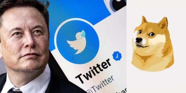 Elon Musk Changes Twitter Logo to Doge Meme, Sparks Controversy ...